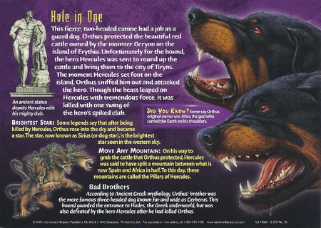 Orthus | Weird n' Wild Creatures Wiki | FANDOM powered by Wikia