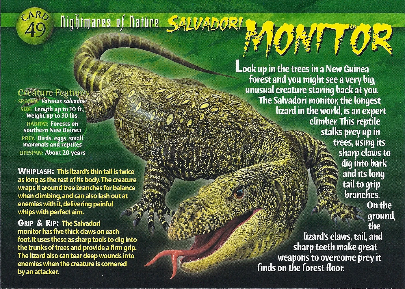 Salvadori Monitor | Weird n' Wild Creatures Wiki | Fandom