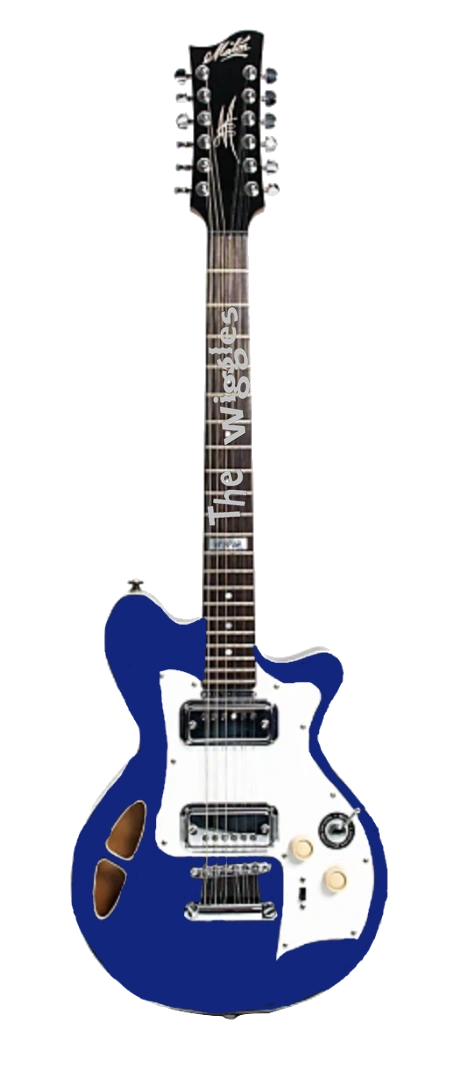 Maton MS500/12 | Wigglepedia | Fandom