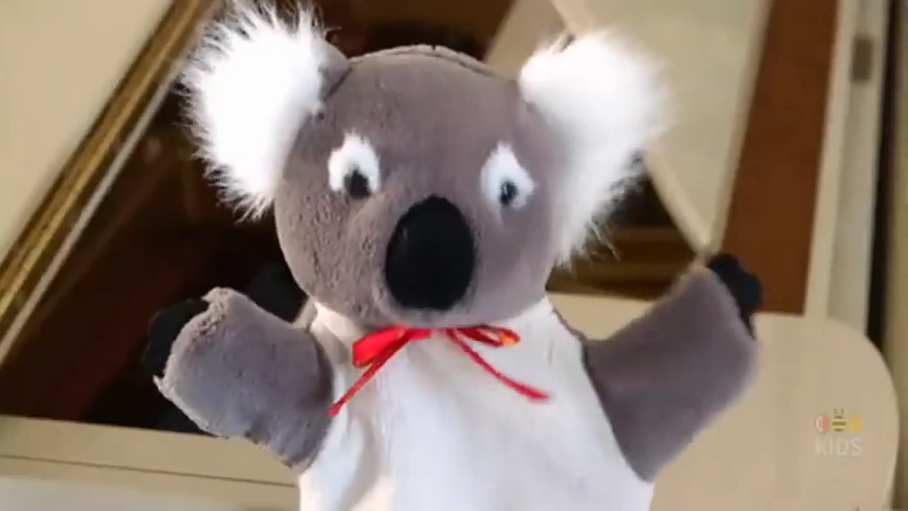 Koala Puppet | Wigglepedia | Fandom