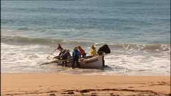 Wiggle Bay | Wigglepedia | Fandom