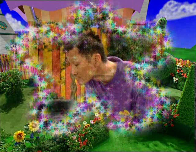 Directions/Gallery | Wigglepedia | Fandom