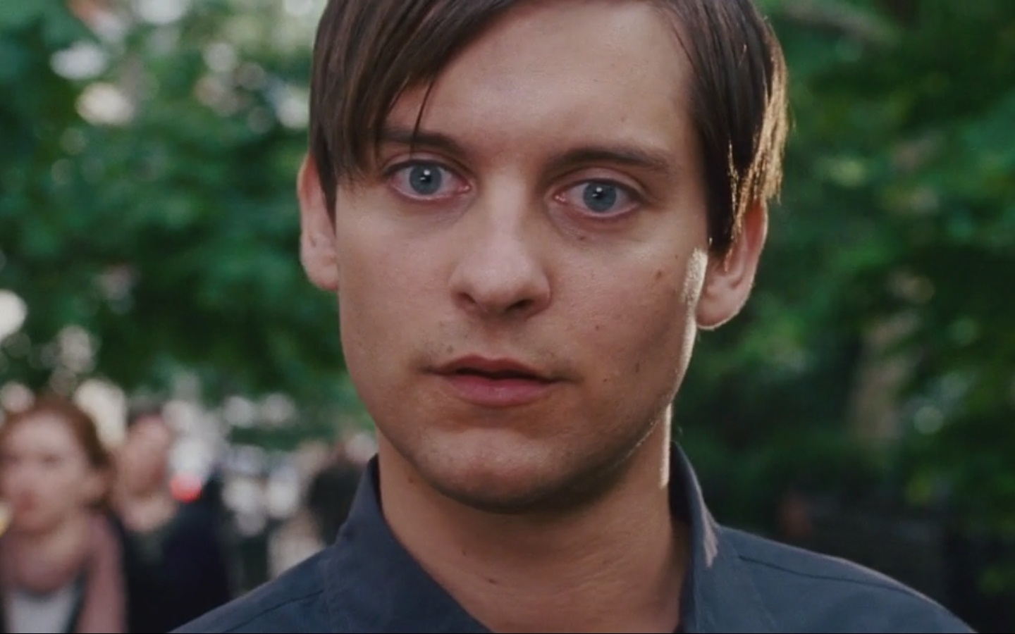 Peter Parker (homem Aranha) | Wikidetudo Wikia | Fandom