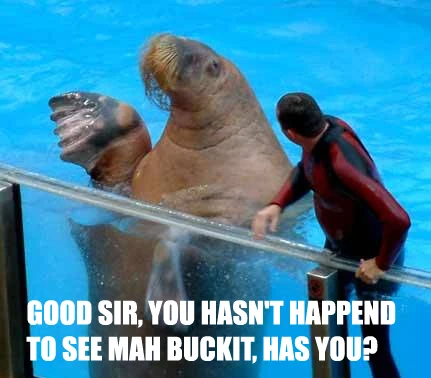 Lolrus | Walrus Wiki | Fandom