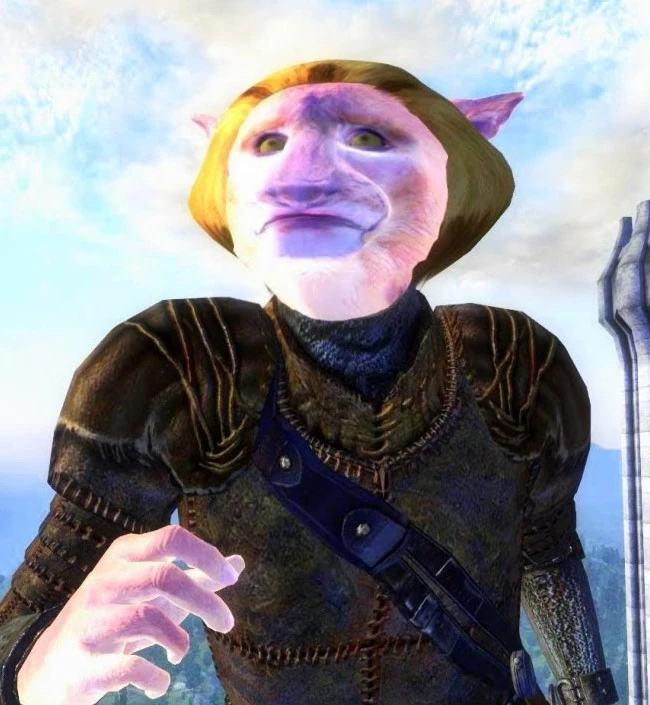 Autism-Cat (The Elder Scrolls) | Wilburgur Wiki | Fandom