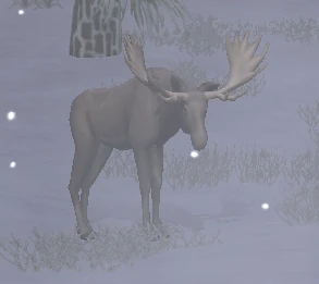 Moose | WildCraft Wiki | Fandom
