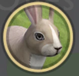 Rabbit | WildCraft Wiki | Fandom
