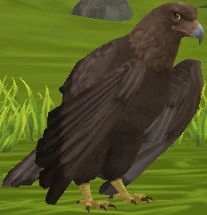 Eagle | WildCraft Wiki | Fandom