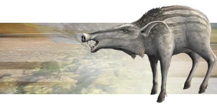 Scrofa | Wild Future Wiki | Fandom