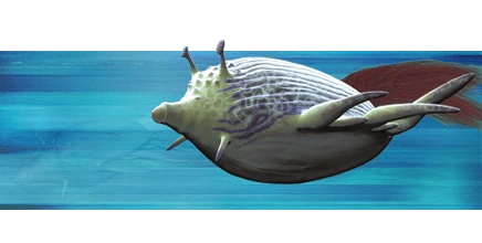 Reef Glider | Wild Future Wiki | FANDOM powered by Wikia