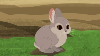 Pygmy Rabbit | Wild Kratts Wiki | Fandom