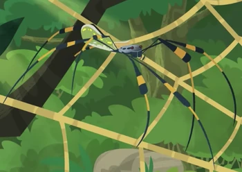 American Golden Silk Orbweaver | Wild Kratts Wiki | Fandom