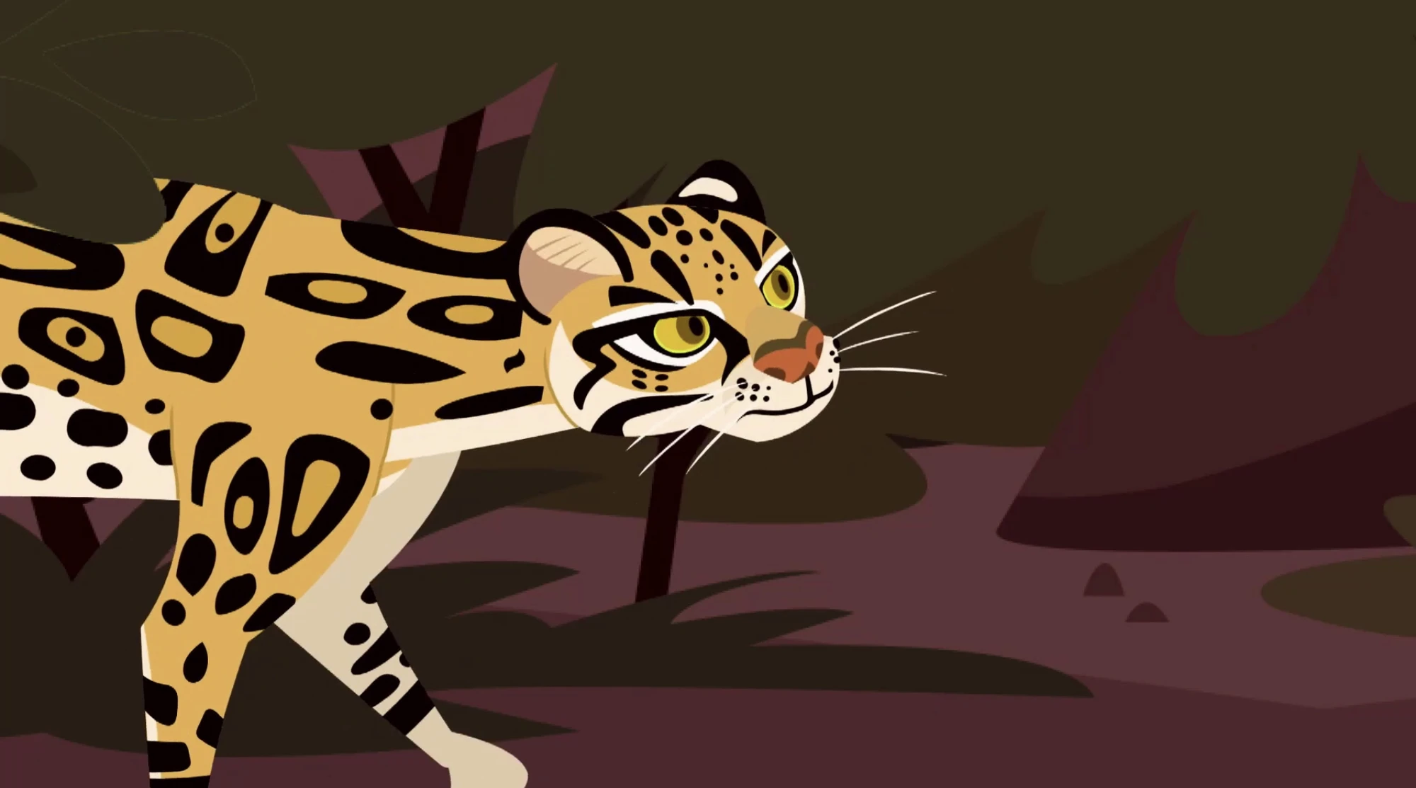 Cookie | Wild Kratts Wiki | Fandom