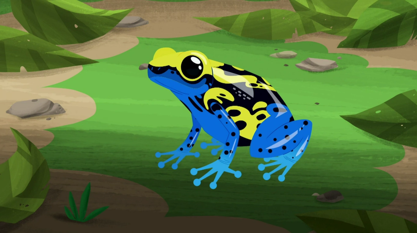 Roy G. Biv | Wild Kratts Wiki | Fandom