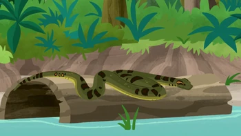 Green Anaconda | Wild Kratts Wiki | Fandom