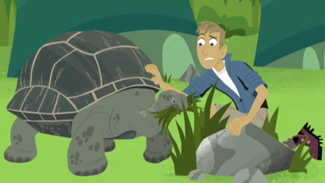 Image - AY 31.png | Wild Kratts Wiki | FANDOM powered by Wikia