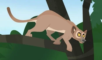 Fossa | Wild Kratts Wiki | Fandom