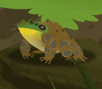 American Bullfrog | Wild Kratts Wiki | Fandom