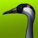 Animals | Wildlife Animal Pedia Wiki | Fandom