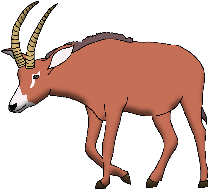 Roan Antelope | Wildlife Animal Pedia Wiki | Fandom