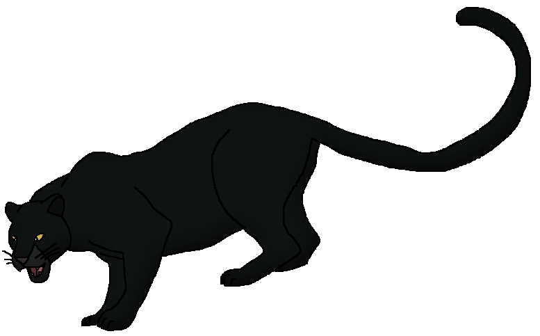 Black Panther | Wildlife Animal Pedia Wiki | Fandom