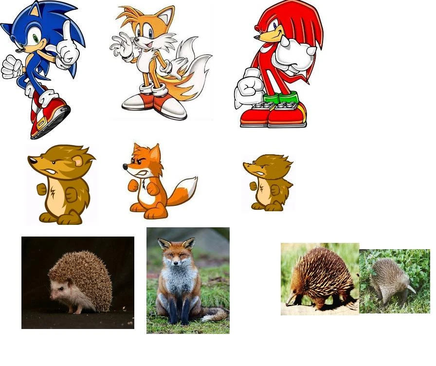 Image - Hedgehog Fox Echidna.jpg | Wild Ones Wiki | FANDOM powered by Wikia