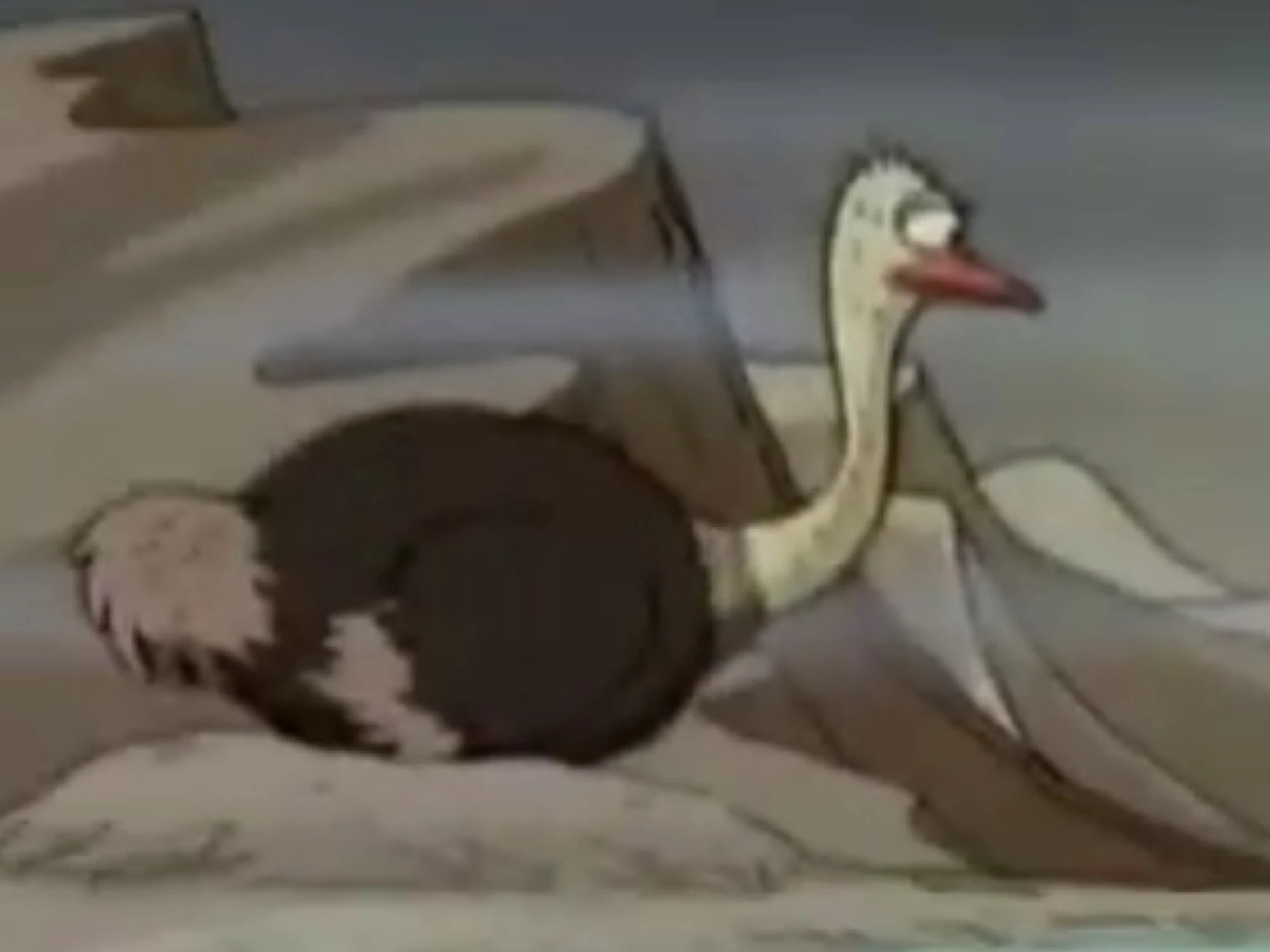 Ostrich | Wild Thornberrys Wiki | Fandom