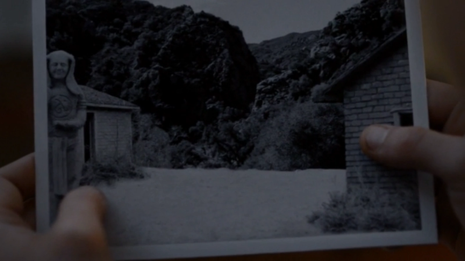 Dog Gods | Wilfred Wiki | Fandom