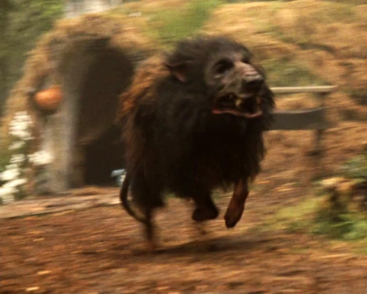 18 Things You Probably Didn't Know About Willow