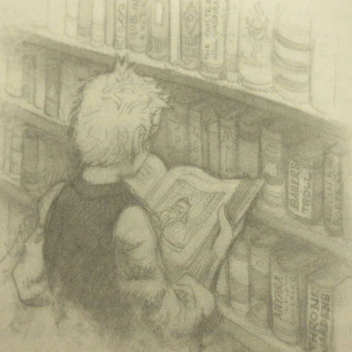 Wingfeathers | Wingfeather Saga Wiki | Fandom