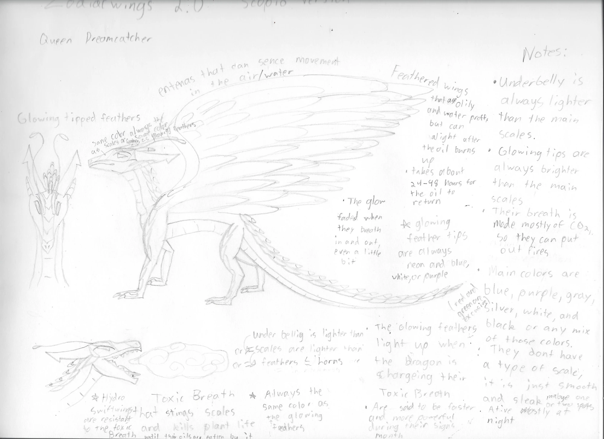 Zodiacwings | Wings of Fire Fanon Tribes Wiki | Fandom