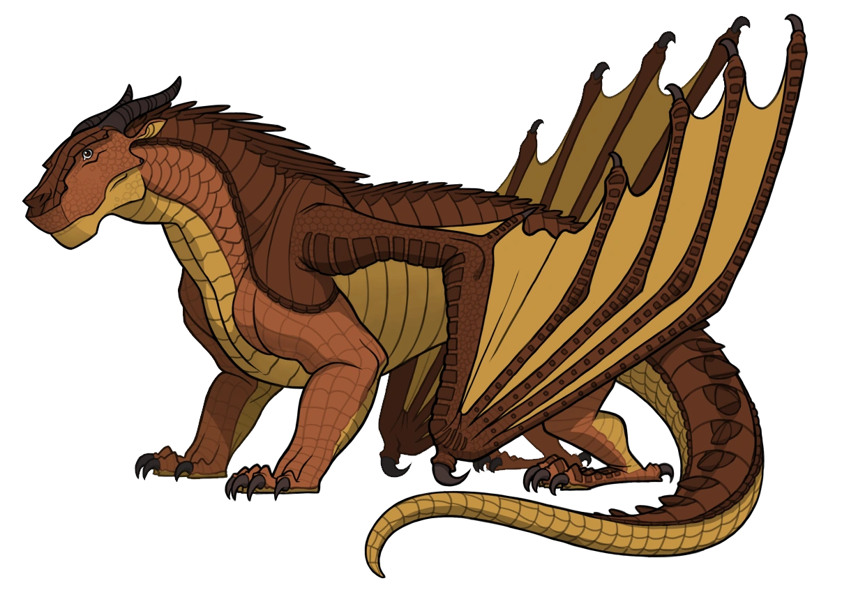 Sora | Wings of Fire Wiki | Fandom