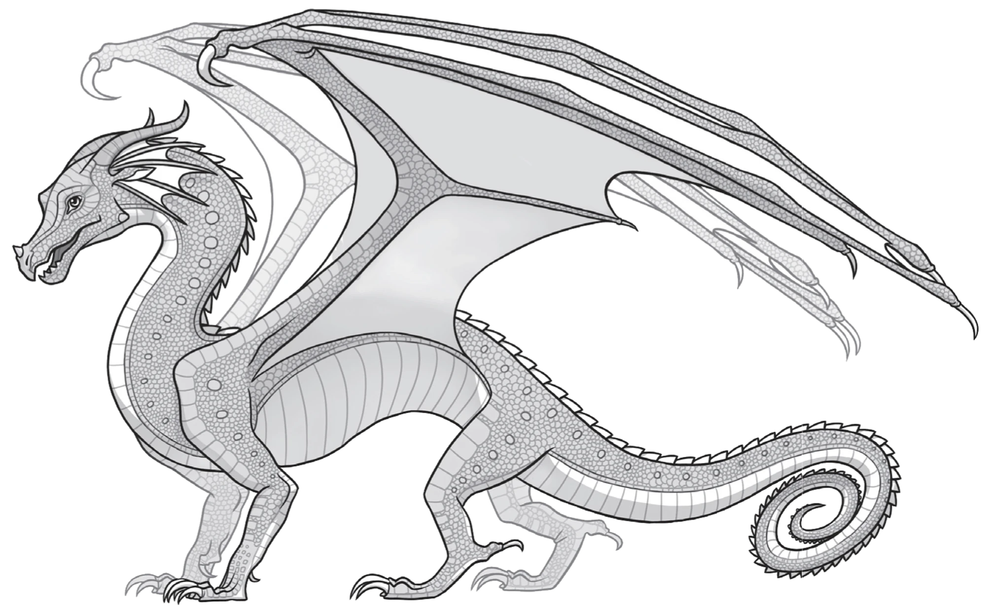 Splendor | Wings of Fire Wiki | Fandom