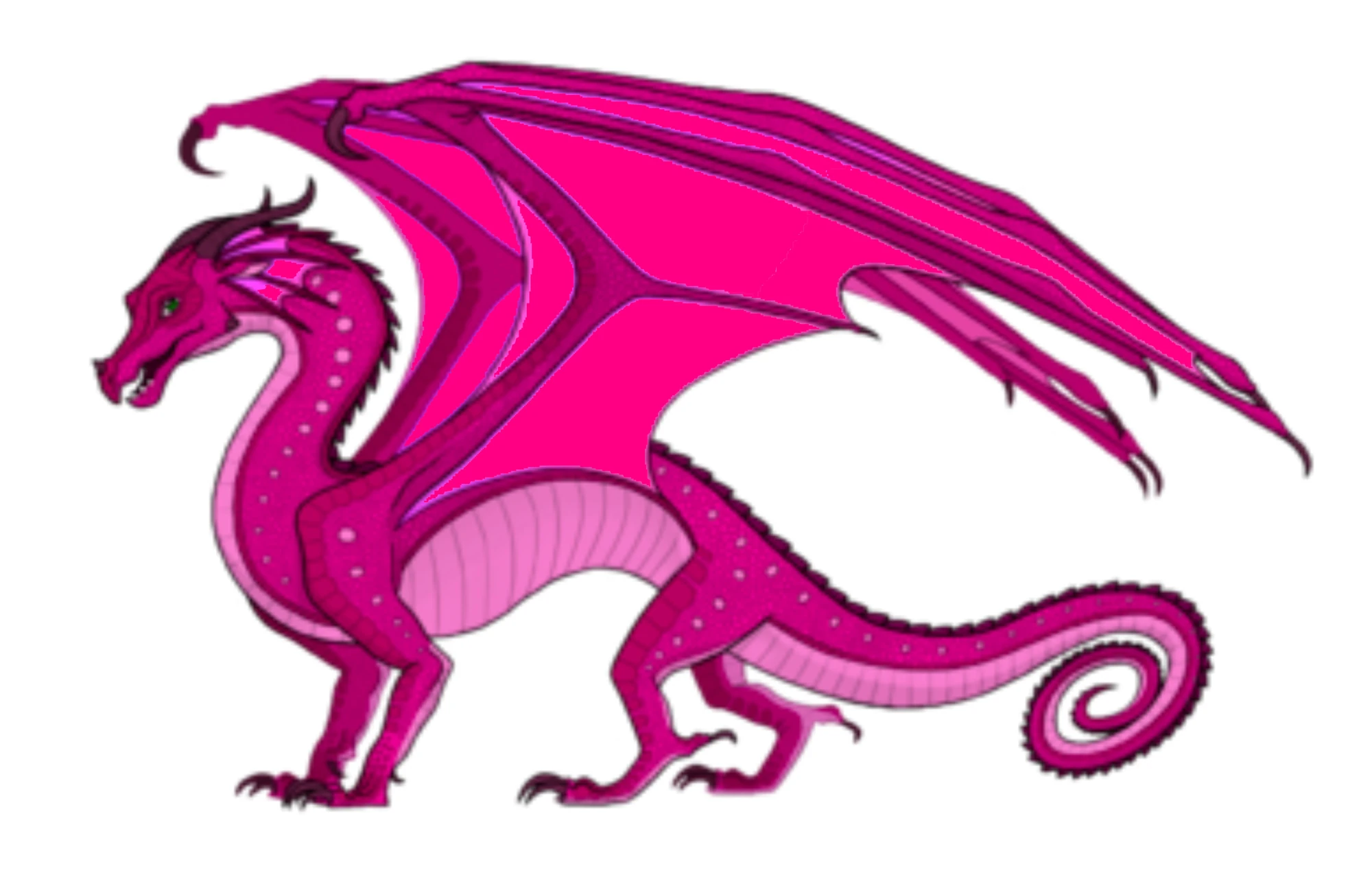 Image - Orchid.jpeg | Wings of Fire Wiki | FANDOM powered by Wikia