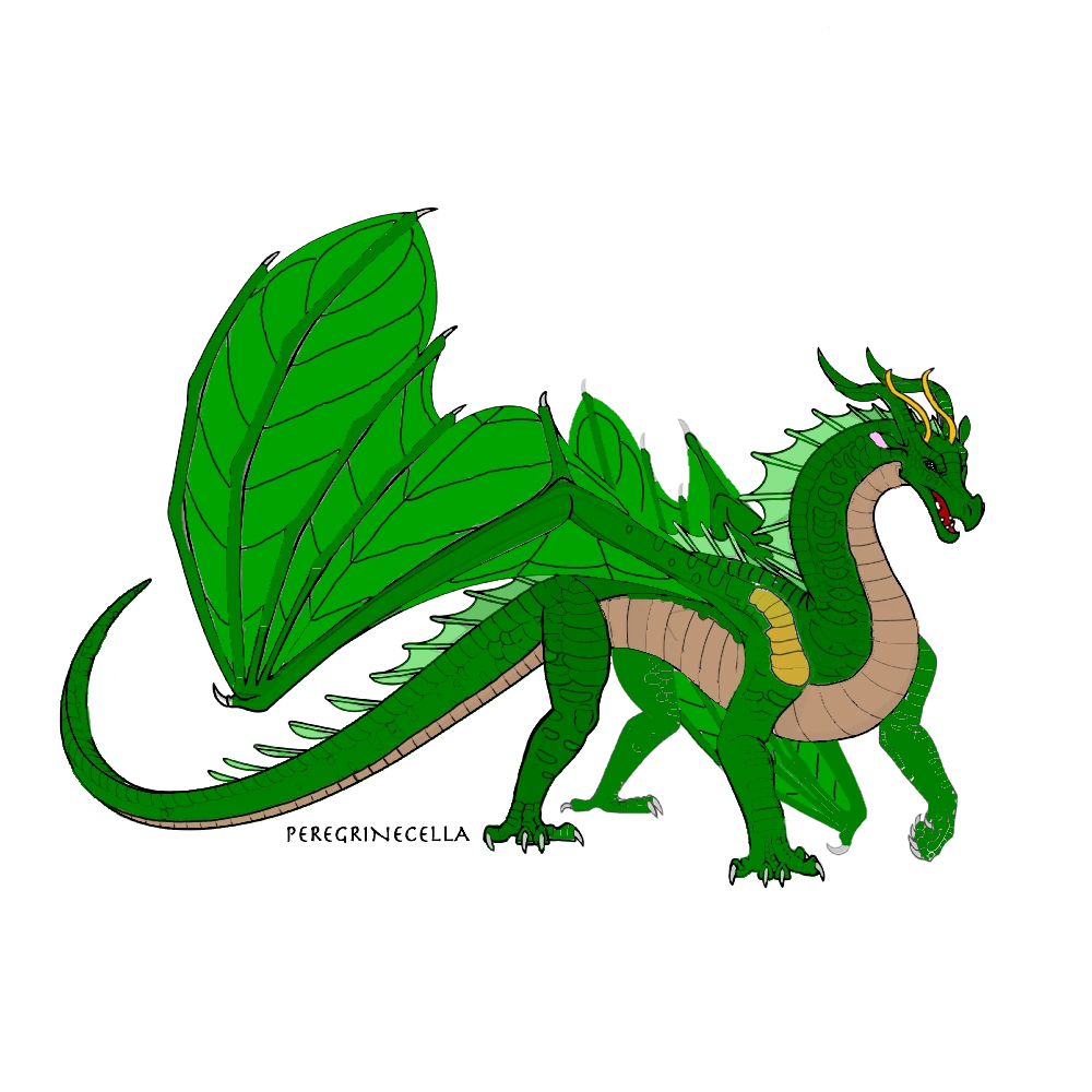 Message Wall Greeting:Firefly of the Rains&Nightwings | Wings of Fire ...