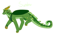 Sundew | Wings of Fire Wiki | Fandom