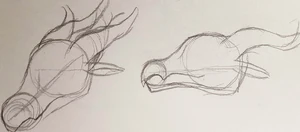 ANATOMY 101: SEAWINGS | DRAWING TUTORIAL | Fandom
