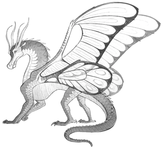 Image - SilkWing Ref PhotoCropped.png | Wings of Fire Wiki | FANDOM ...