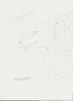 Armadillo | Wings of Fire Wiki | Fandom