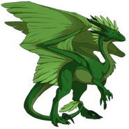 Sundew | Wings of Fire Wiki | Fandom