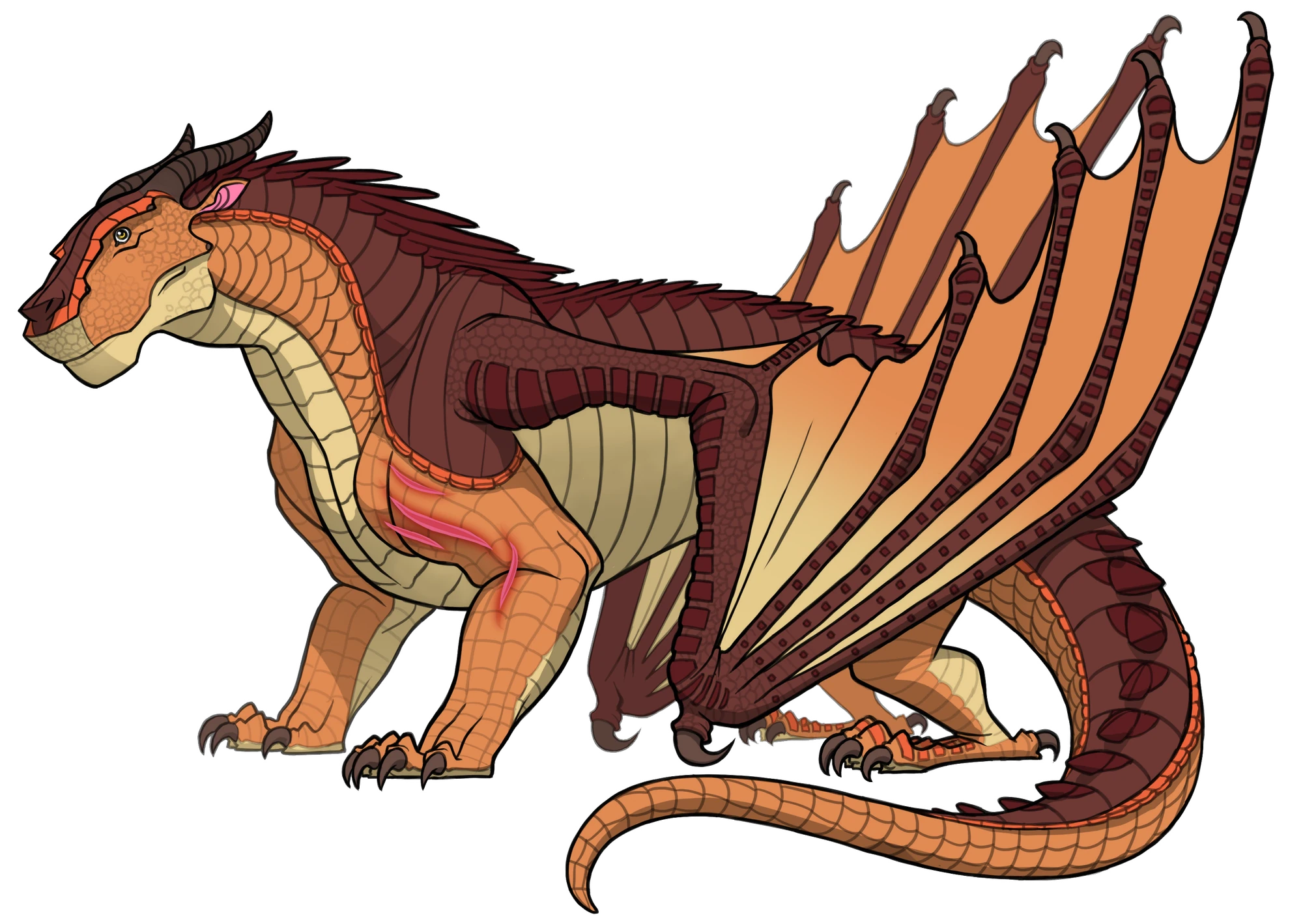 Salamander | Wings of Fire Fanon Wiki | Fandom