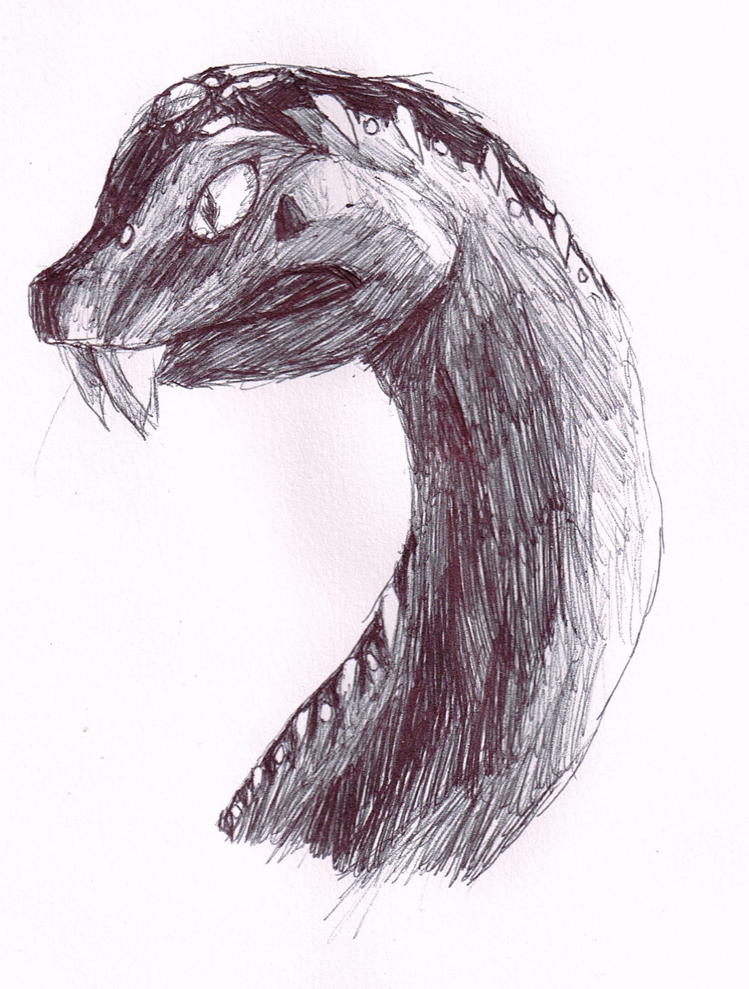 Image - Pythor P. Chumsworth.jpg | Wings of Fire Fanon Wiki | FANDOM ... Image - Pythor P. Chumsworth.jpg | Wings of Fire Fanon Wiki | FANDOM ...