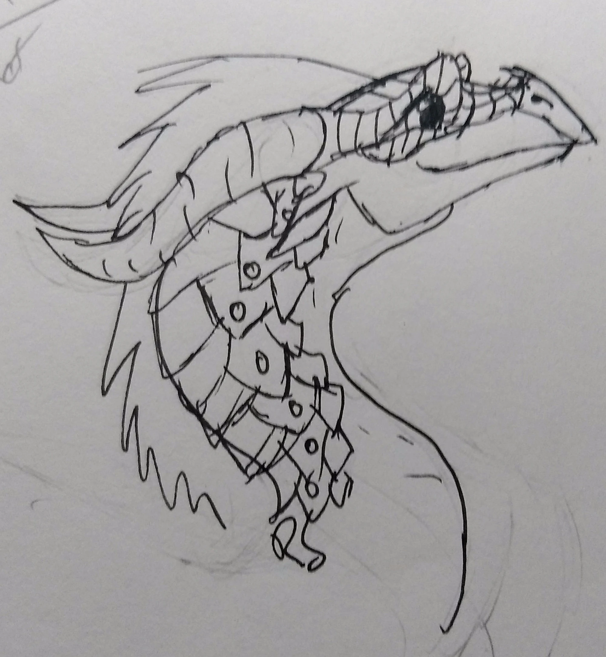 Alluvion (Rainwing/Sandwing) | Wings of Fire Fanon Wiki | Fandom