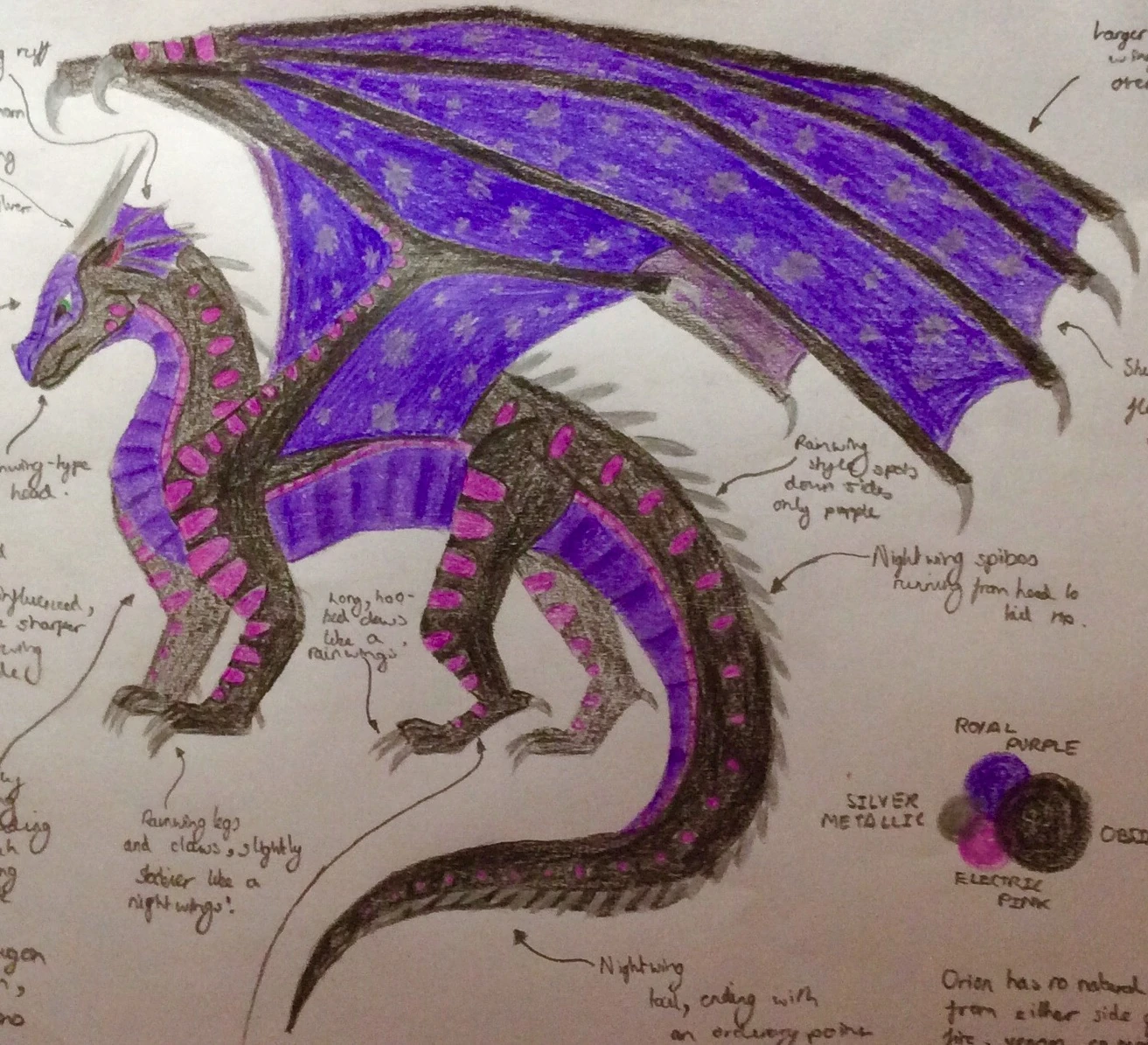 Orion the Nightwing-Rainwing | Wings of Fire Fanon Wiki | Fandom