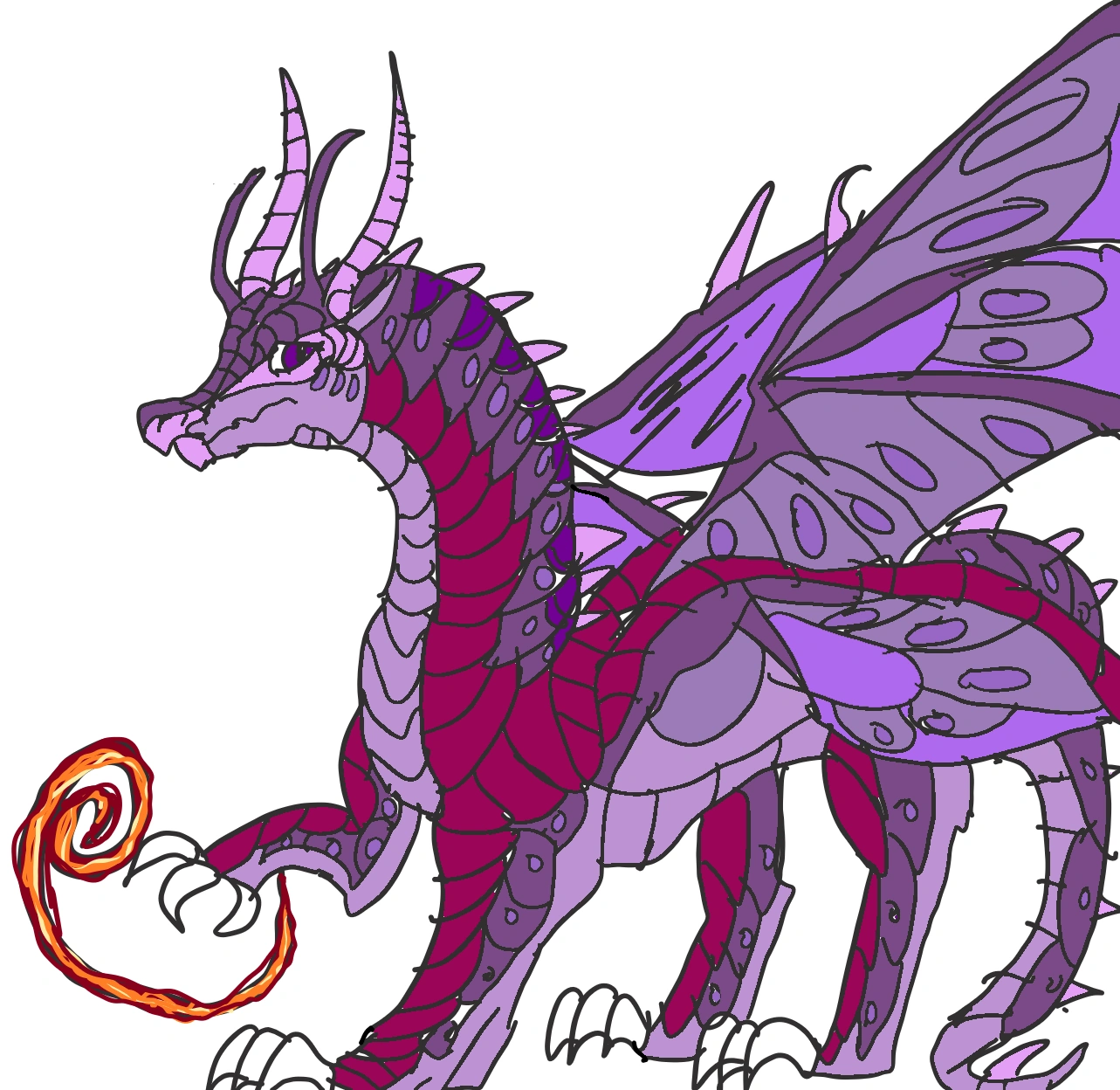 Mauve the SilkWing | Wings of Fire Fanon Wiki | Fandom
