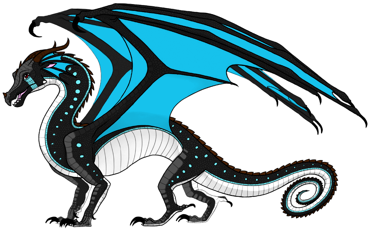 Paradox the RainWing | Wings of Fire Fanon Wiki | Fandom