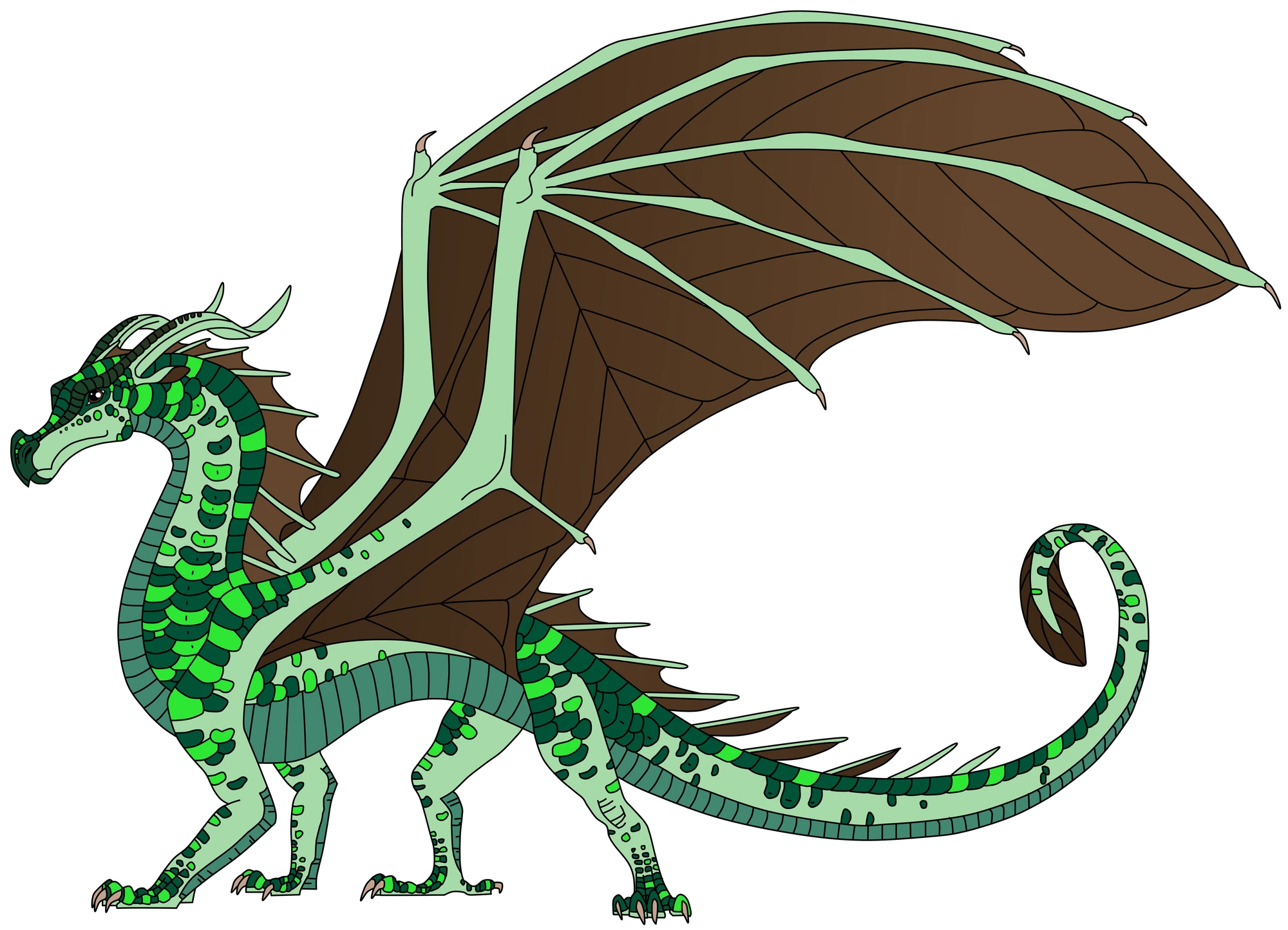 Queen Fern (Lacey) | Wings of Fire Fanon Wiki | Fandom
