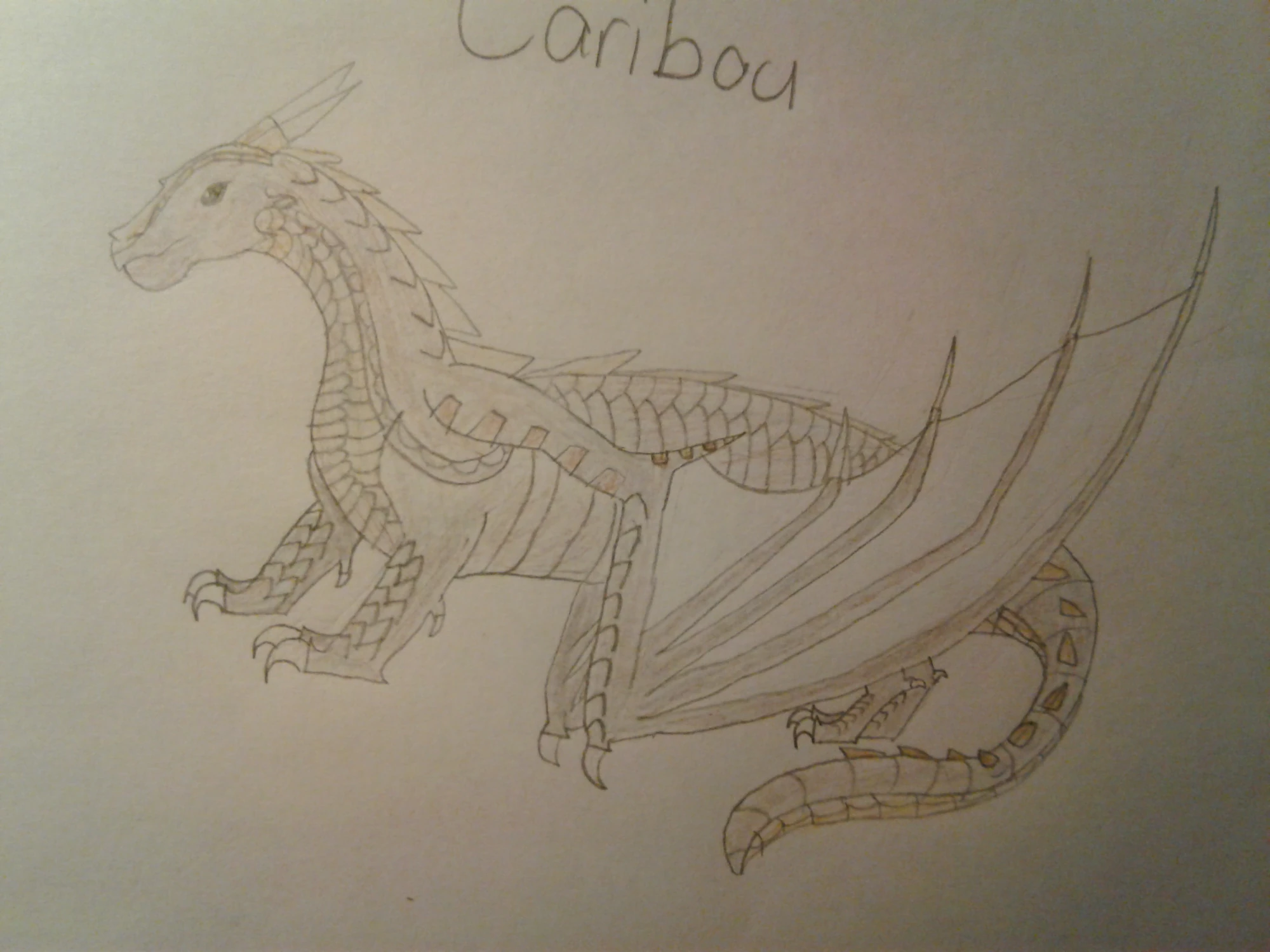 Caribou the IceWing/MudWing | Wings of Fire Fanon Wiki | Fandom