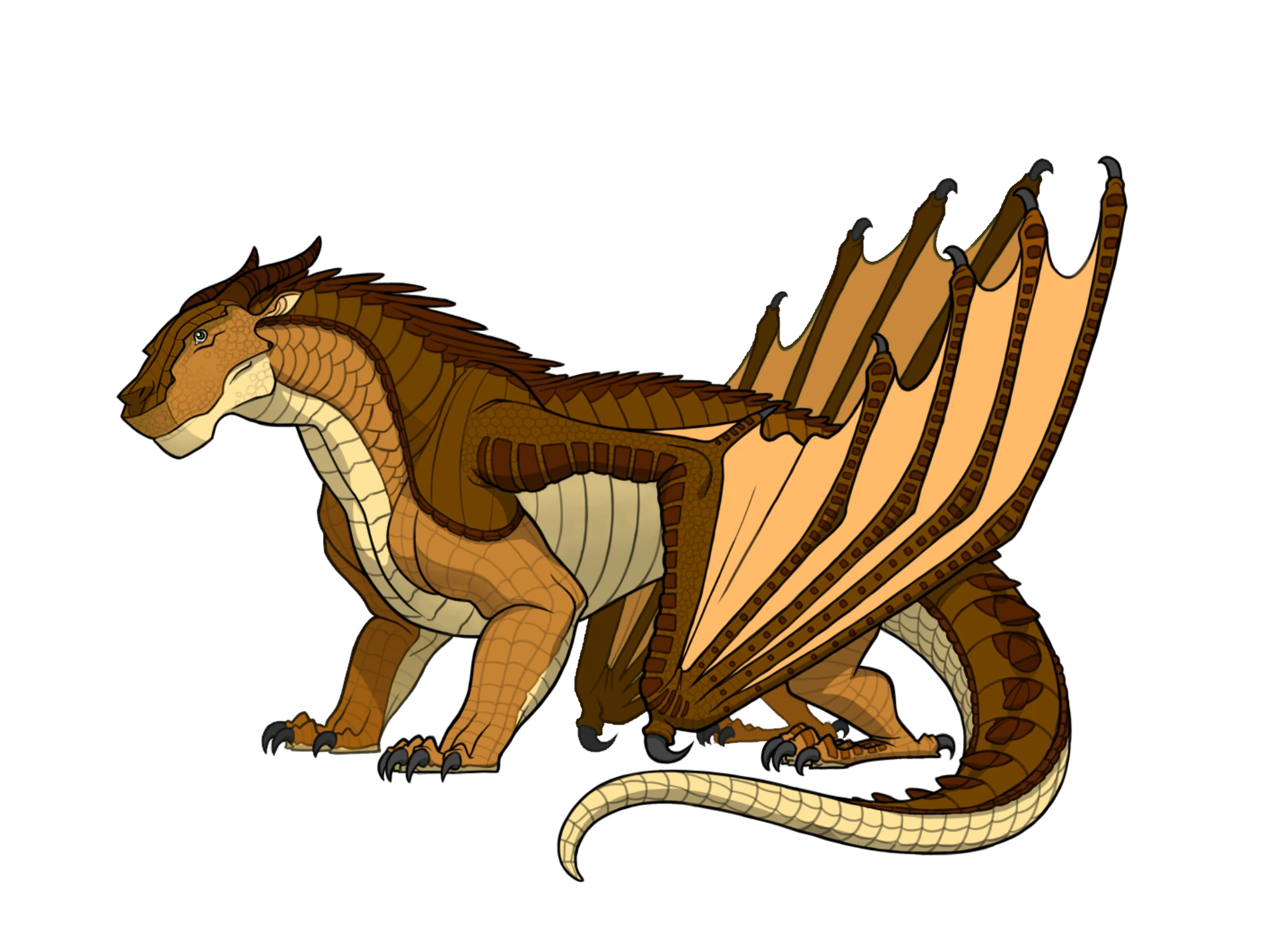 Otter the Mudwing | Wings of Fire Fanon Wiki | Fandom
