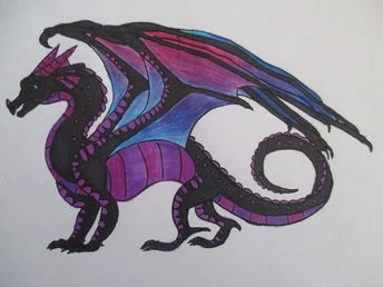 Dawnbreaker (NightWing/RainWing Hybrid) | Wings of Fire Fanon Wiki | Fandom
